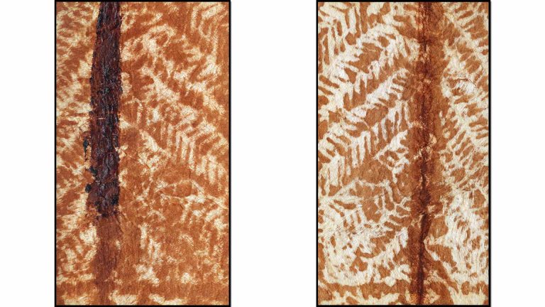 IX – THE LEGENDARY ORIGIN OF KAPA – Tales of Hawai'i