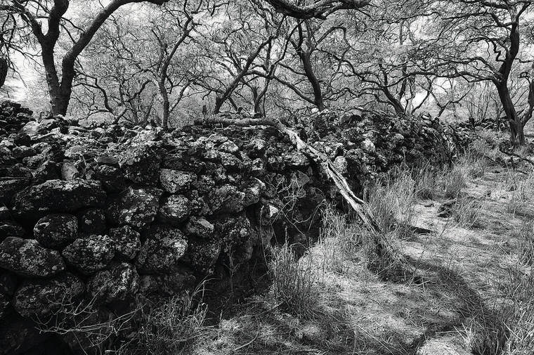 The Hawaiian Temple System in Ancient Kahikinui and Kaupō, Maui – Tales ...